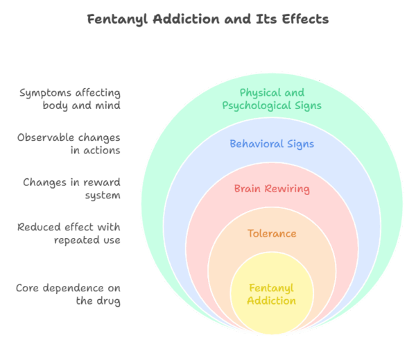 Understanding Fentanyl Addiction: Causes, Risks, and Recovery - Alpha ...